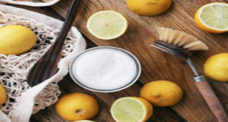 Clean & Co. – Residential, Multi-Family & Commercial Cleaning